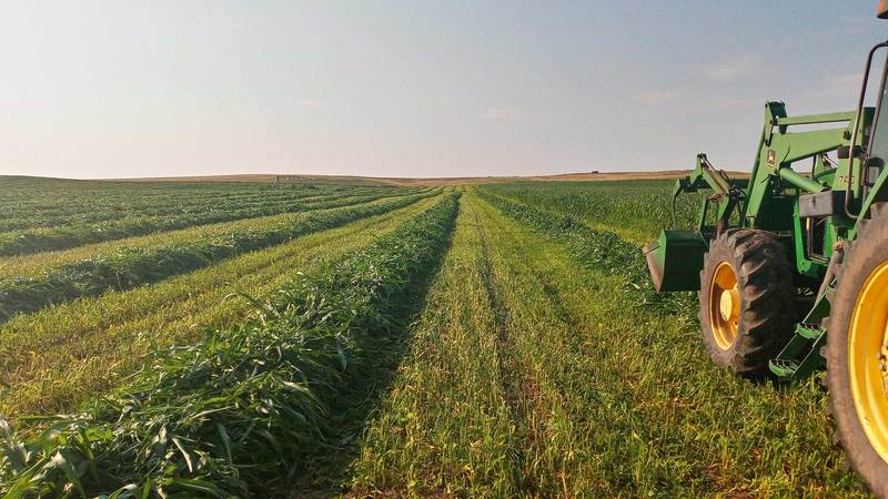 Wayne Childers | Salesperson