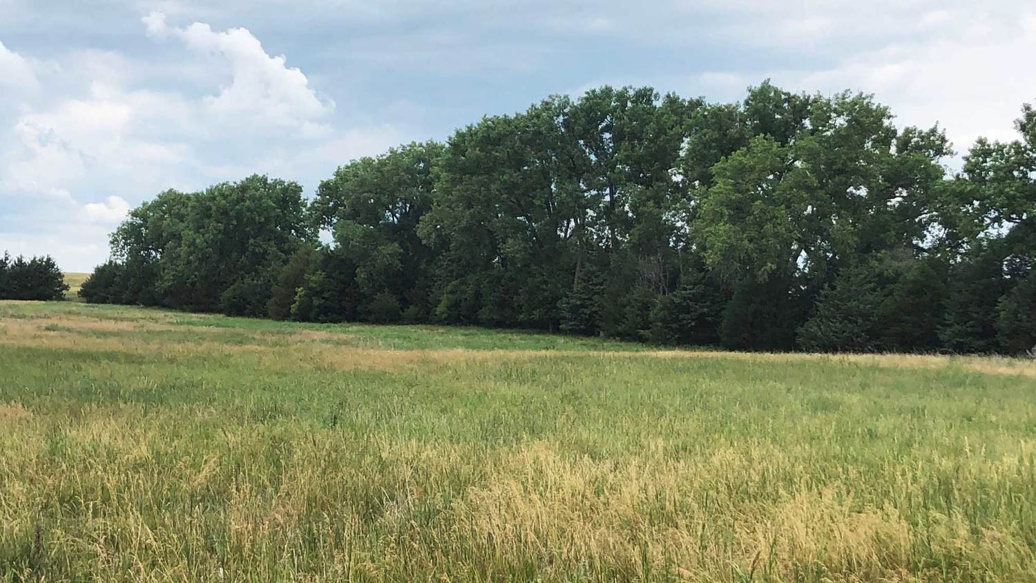 Spring Valley Ranch Nebraska , Spring Valley Ranch & Cattle LLC Reels ...