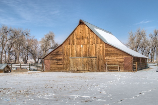 Cottonwood Farm | Longmont, Colorado | Ranchland