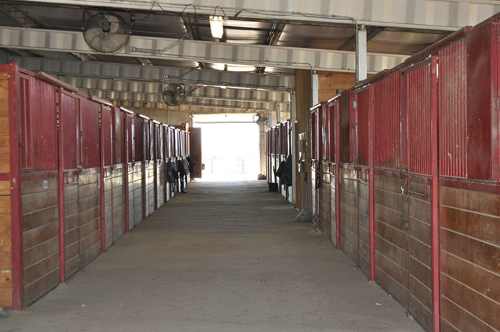 Mountain View Stables | Colorado & equestrian ranches for sale