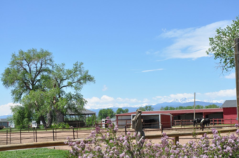 Mountain View Stables | Colorado & equestrian ranches for sale