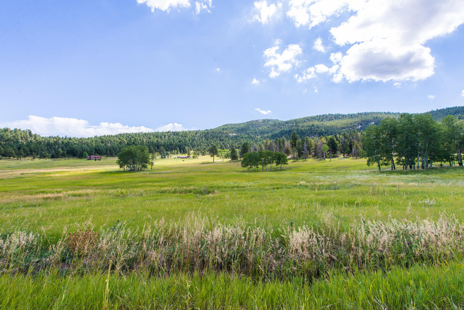 Mountain Meadow Ranch, Evergreen Colorado, Jefferson county