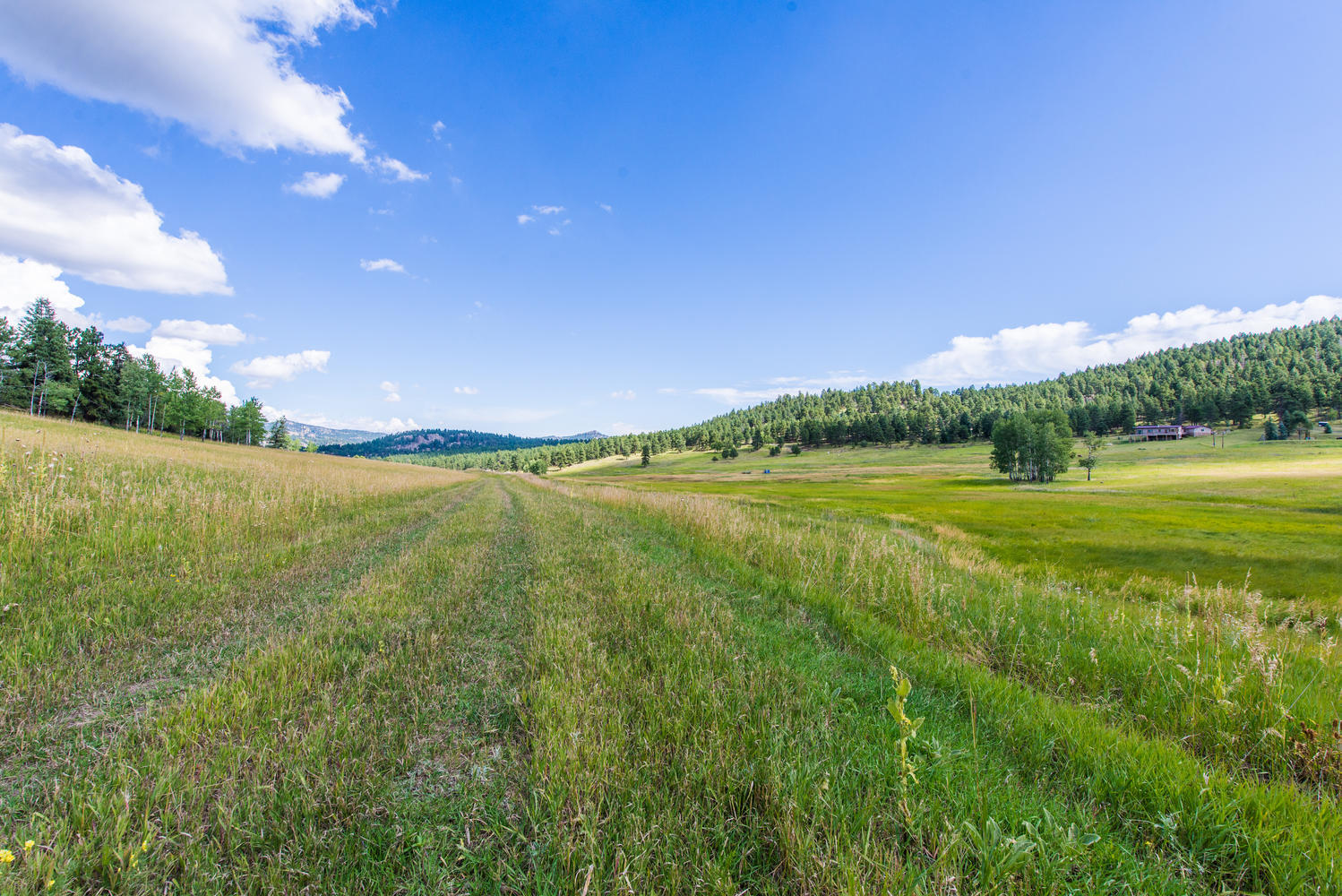 Mountain Meadow Ranch, Evergreen Colorado, Jefferson county