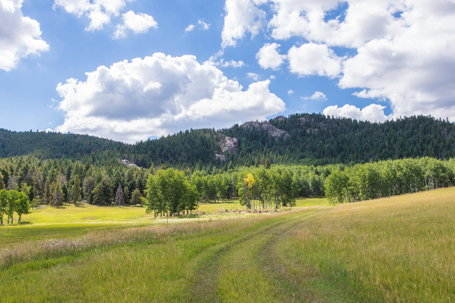 Mountain Meadow Ranch, Evergreen Colorado, Jefferson county