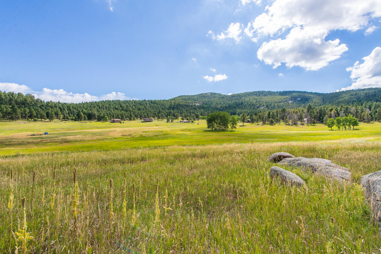 Mountain Meadow Ranch, Evergreen Colorado, Jefferson county