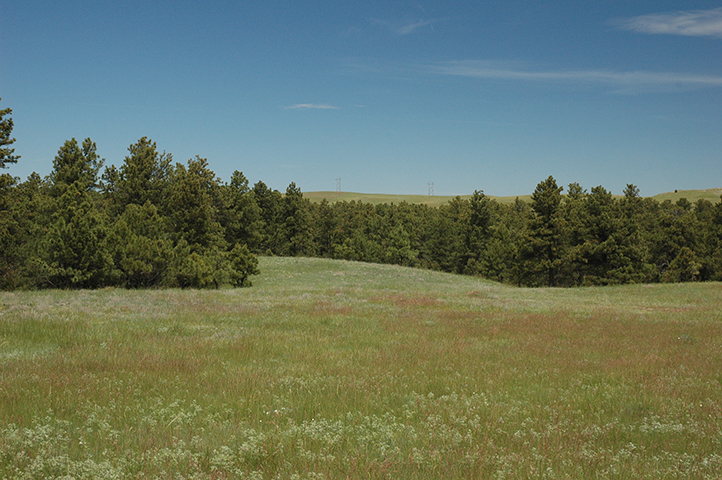 Cattle Ranches For Sale | Mason Morse Ranch Company