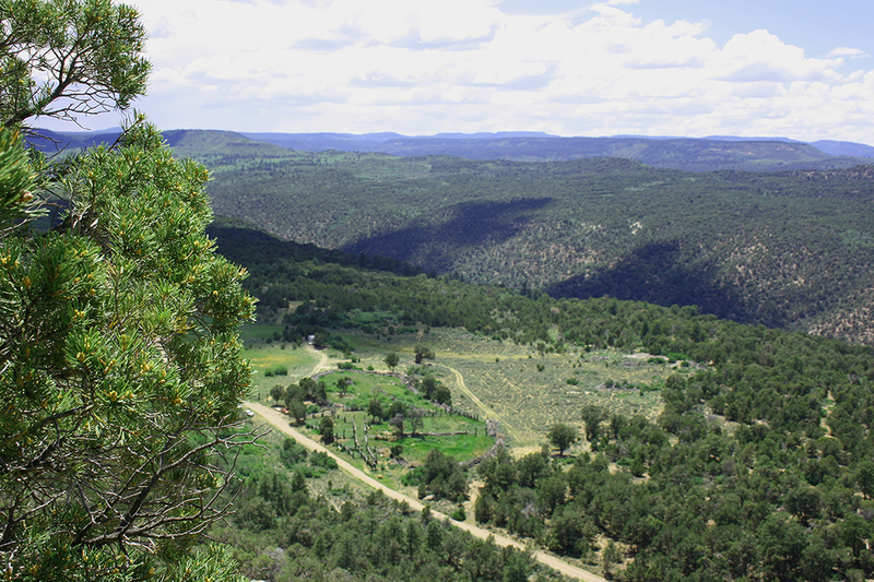 Cattle Ranches For Sale | Mason Morse Ranch Company