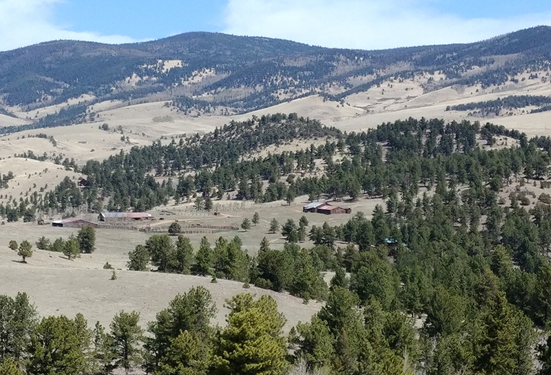 Ranchettes and Acreages Estates Small Ranches For Sale Colorado