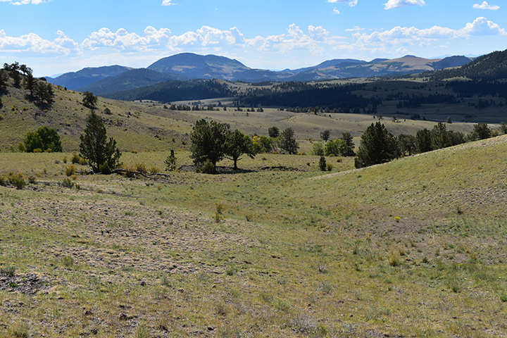 Ranchettes and Acreages Estates Small Ranches For Sale Colorado